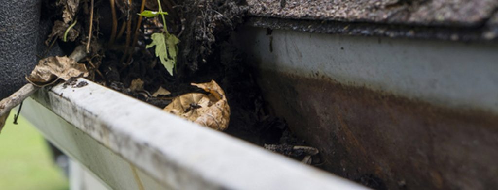 Sådan renser du selv dine tagrender